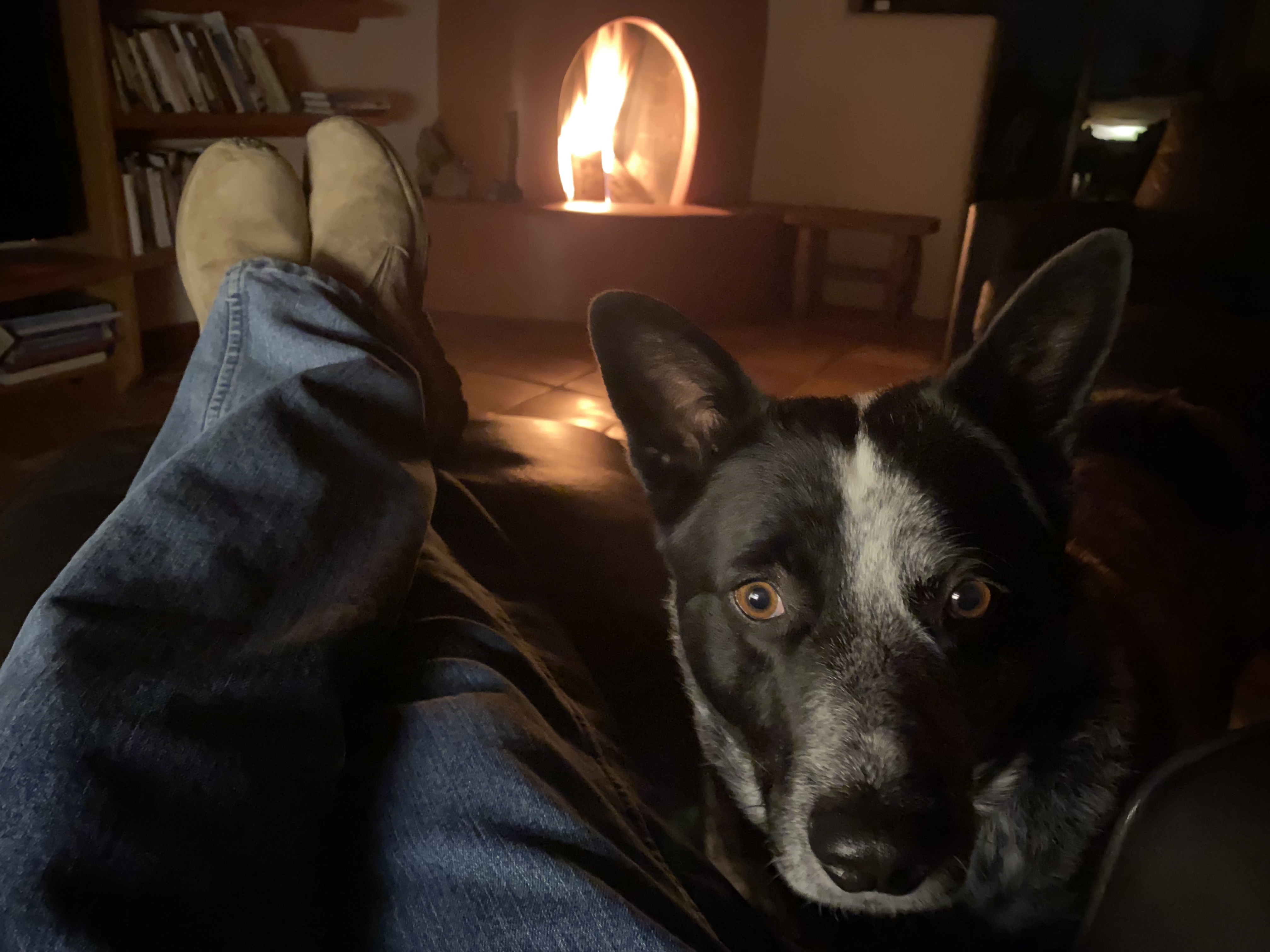 New Year’s Eve | dream ranch