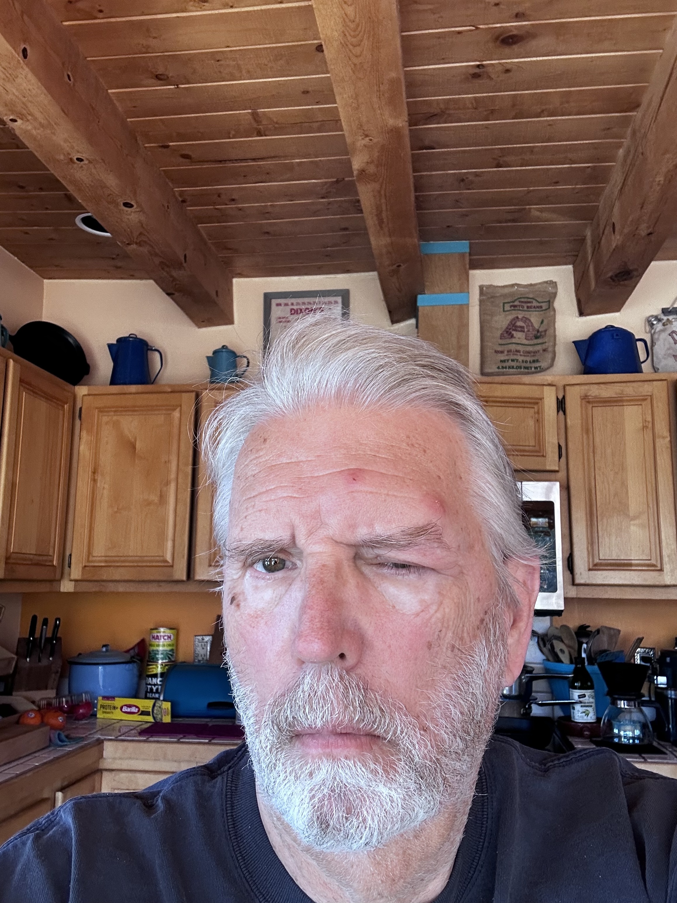 iPhone photo of Aurora Borealis and regular stuff in Placitas | dream ranch